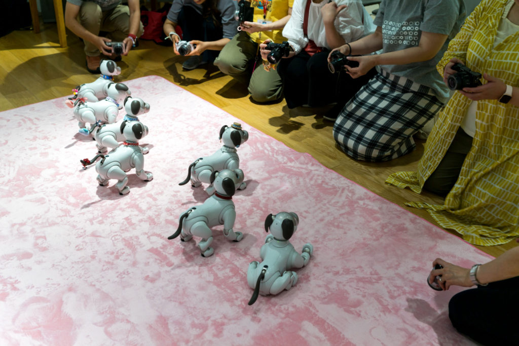 【レビュー】SEL35F28Zで撮影した星空などの作例を紹介！ | αのEVFが見せる世界