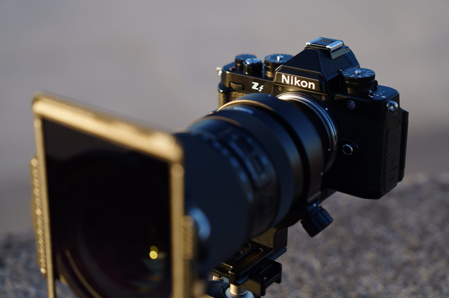 マウント移行！元祖ソニーユーザーが遂にニコンZf を購入した | αのEVFが見せる世界